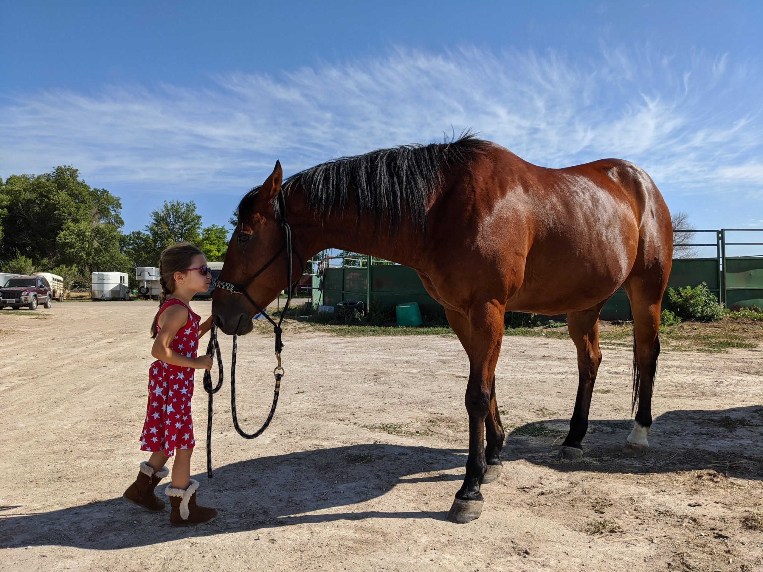 Horseback Riding Lessons - NOCO Equine