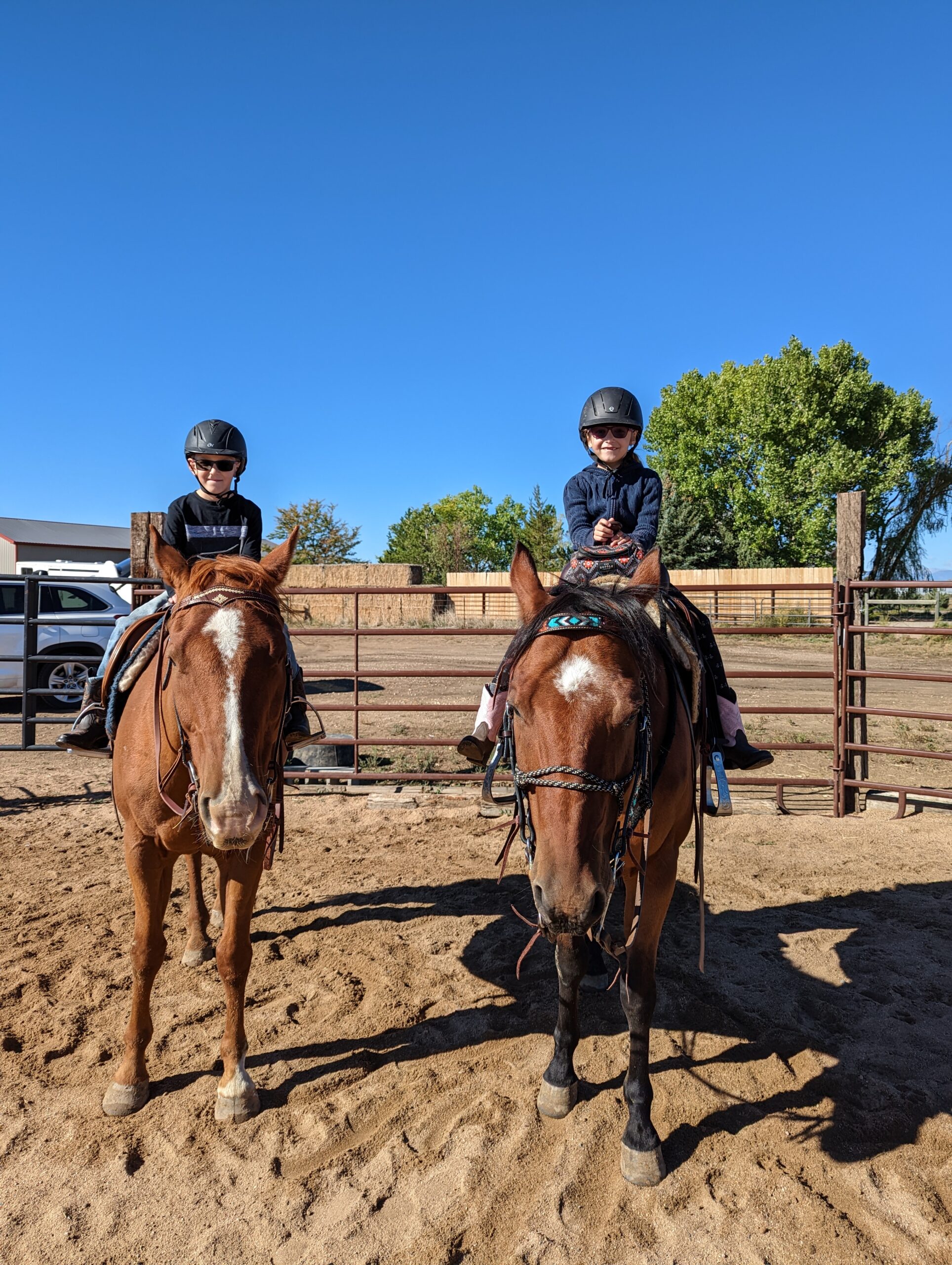 Horseback Riding Lessons - NOCO Equine