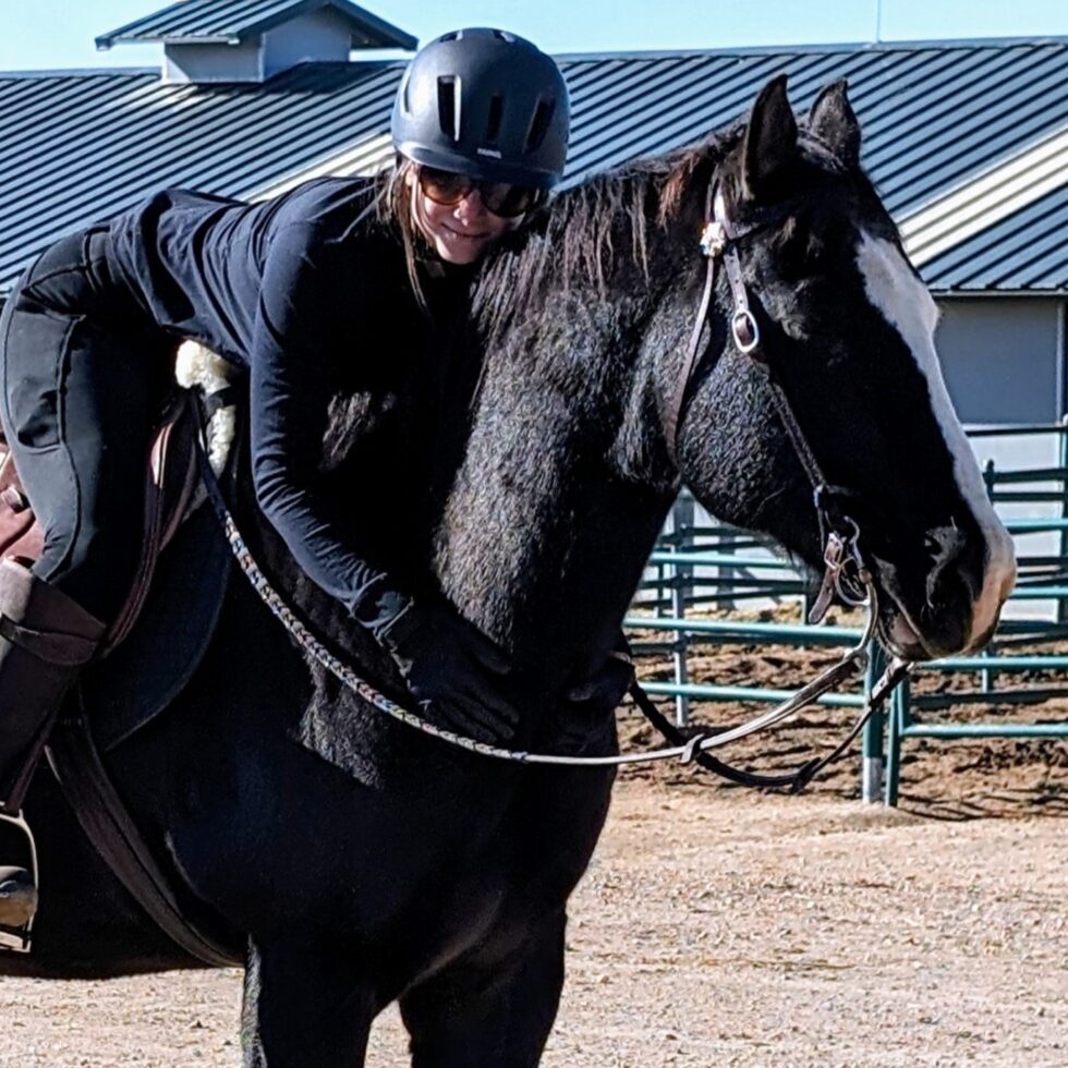 Horseback Riding Lessons - NOCO Equine